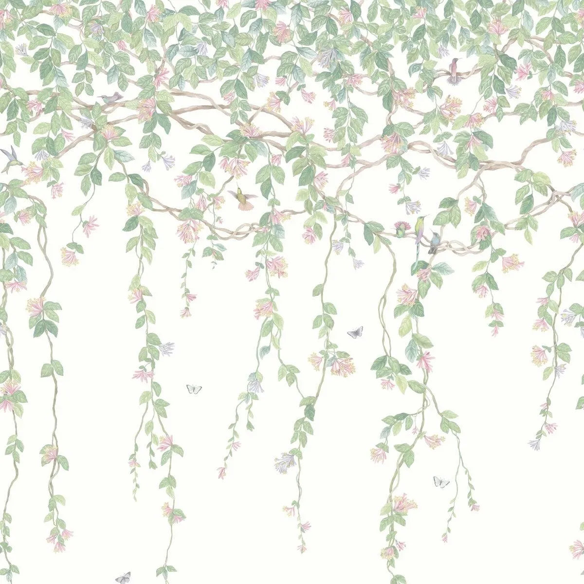 Cole & Son ' Hummingbirds Flora - Blush, Sage & Mulberry on Cream' Wallpaper - Courthouse Interiors