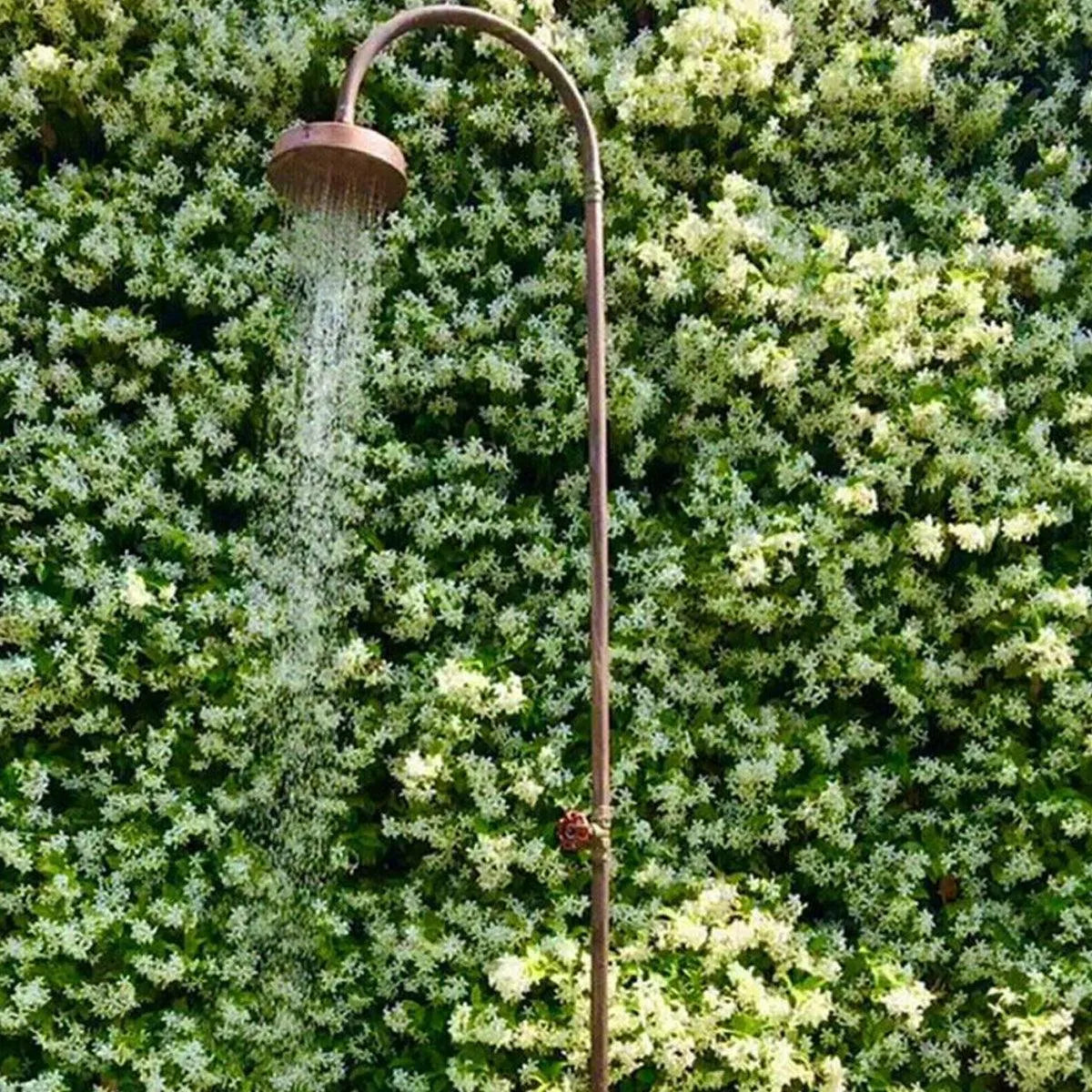 Aquart Shower - Seletti - Courthouse Interiors