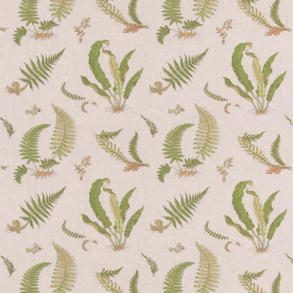 Ferns Embroidery Fabric - GP&J Baker - Courthouse Interiors