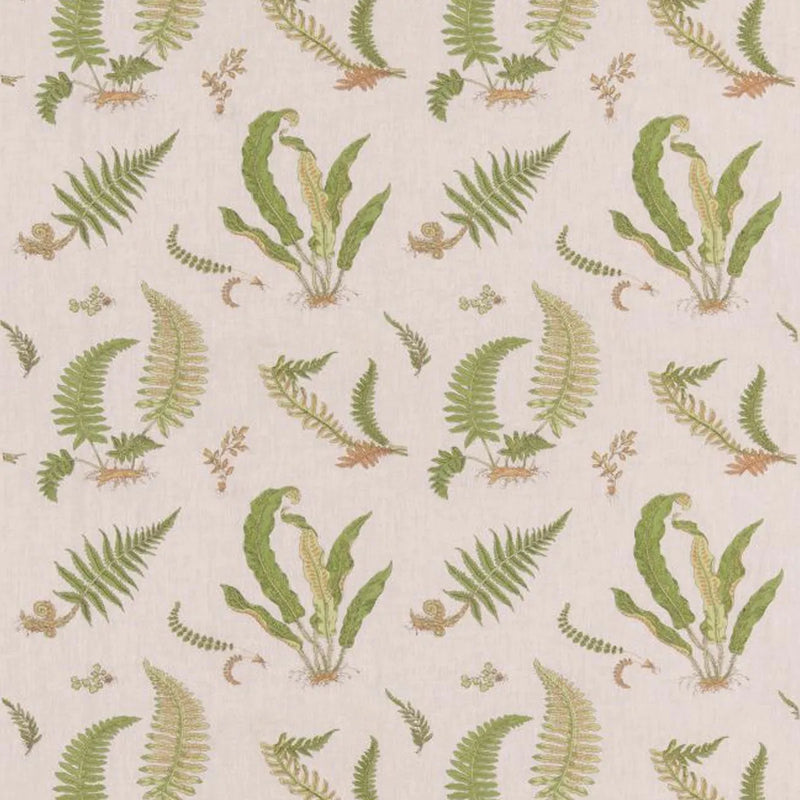 Ferns Embroidery Fabric - GP&J Baker - Courthouse Interiors