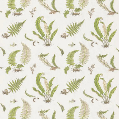 Ferns Embroidery Fabric - GP&J Baker - Courthouse Interiors
