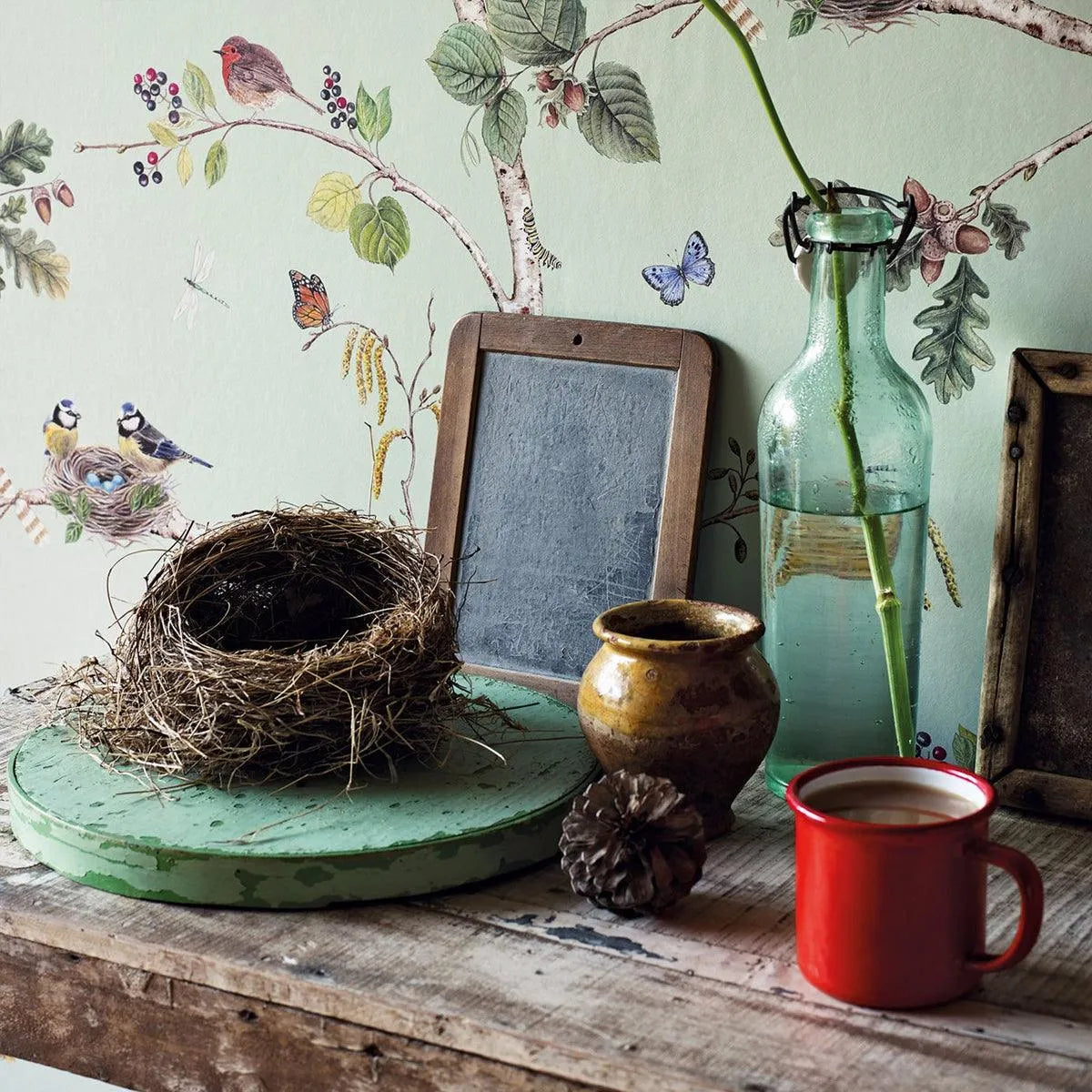 Woodland Chorus Wallpaper - Sanderson - Courthouse Interiors