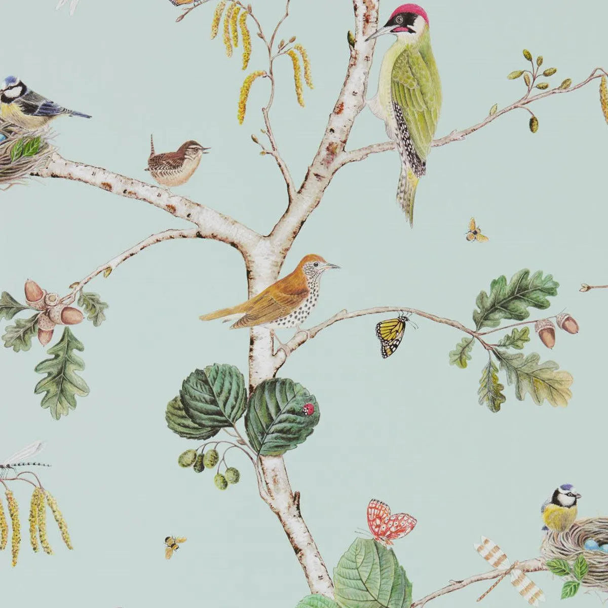 Woodland Chorus Wallpaper - Sanderson - Courthouse Interiors